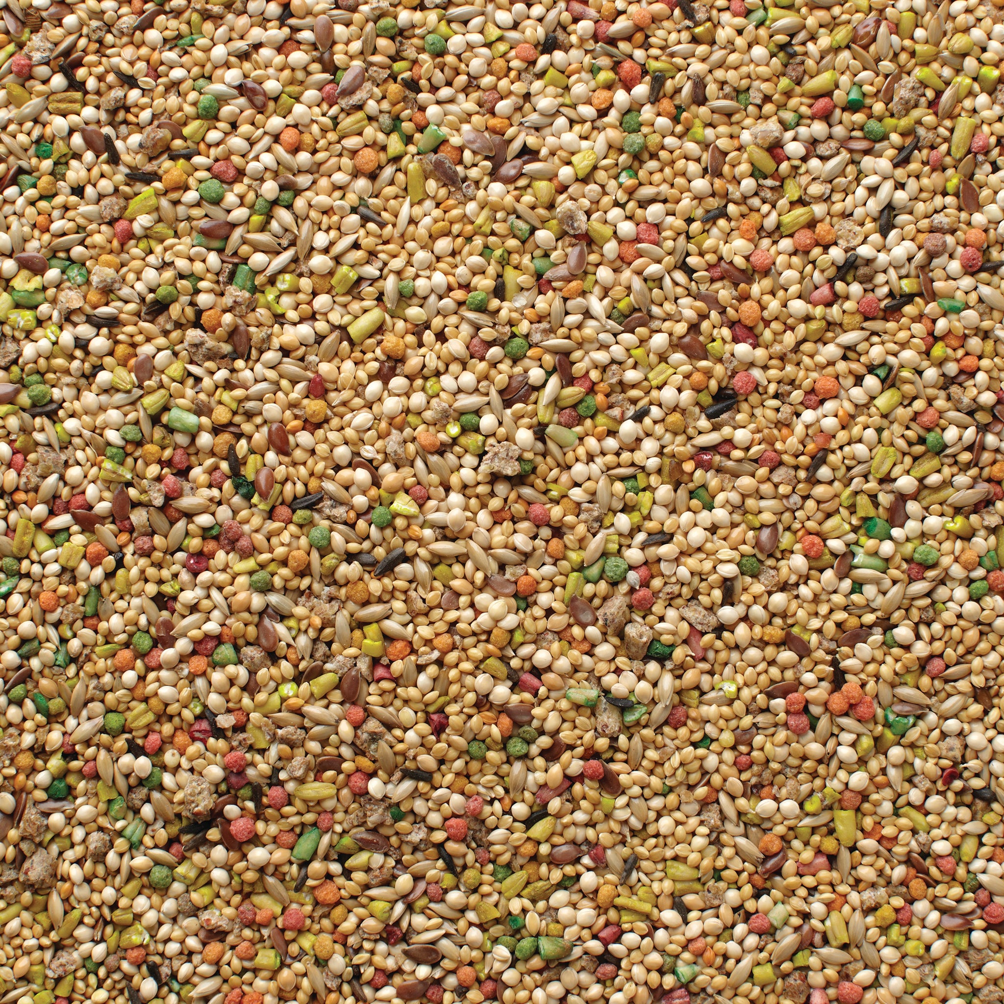 Acapulco Finch Blend Bird Seed – Jones Seed Company